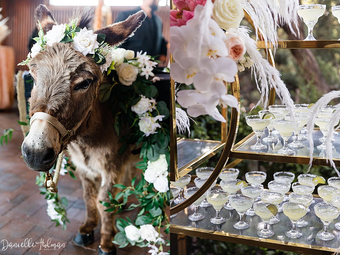 Wedding at Agave of Sedona - danielleholmanwedding.com